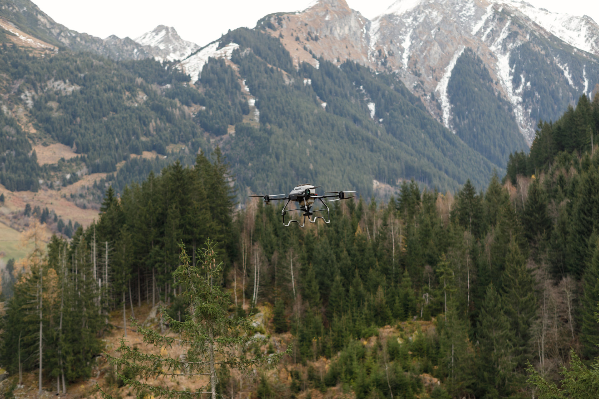 Die Drohne als Forstfacharbeiter:in • Wald Magazin